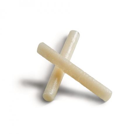 Cortical Pins | maxxeusdental.com